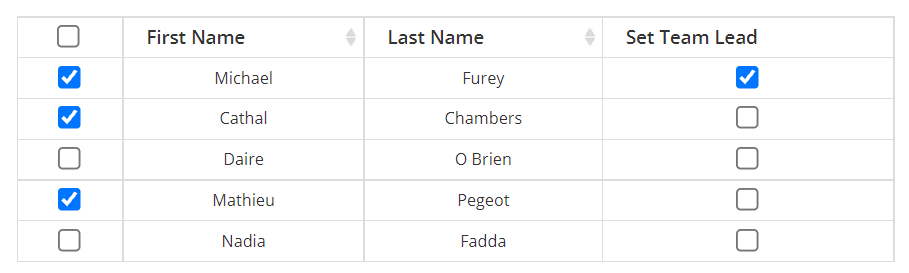 Appoint team leaders to manage colleagues' bookings | Ronspot